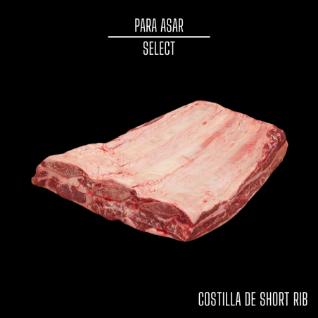 Costilla Short Rib Select Caja con 3KG